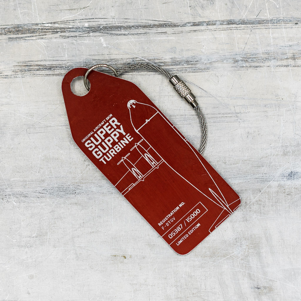 Super Guppy Turbine | Aero Spacelines F-BTGV | Aviationtag
